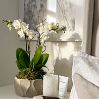 Luxury Flowers | Next Day Delivery | Haute Florist