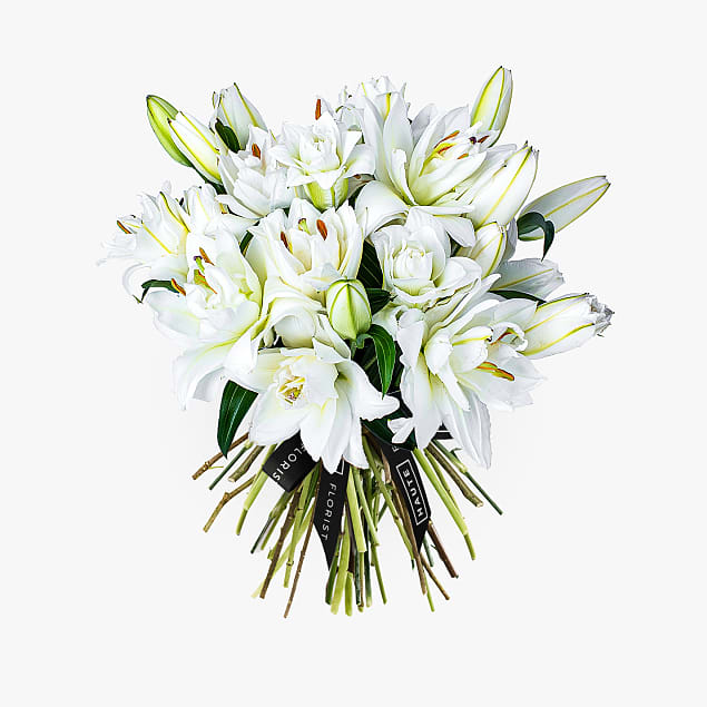 Double-Flowering Lilies | Haute Florist
