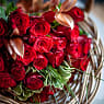 Luxury 24 Roses | Haute Florist
